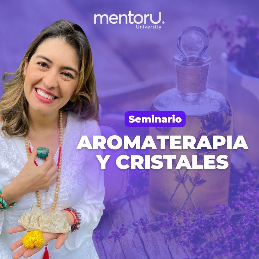 Cursos - MentorU